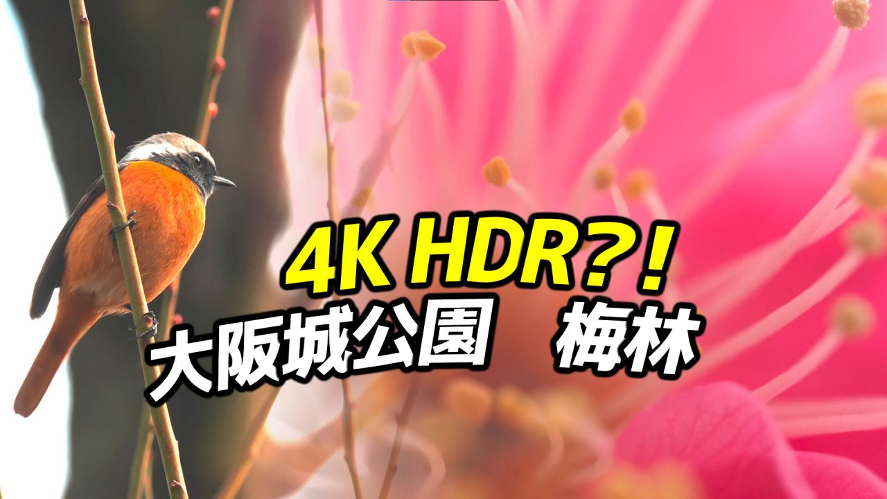 4K HDR 映像に半日かかった – VIDEO CAMERAMAN LABORATORY