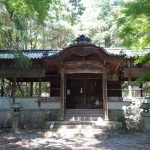 DSC_0299 – VIDEO CAMERAMAN LABORATORY