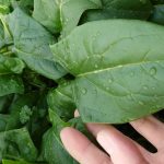 DSC_0362 – VIDEO CAMERAMAN LABORATORY